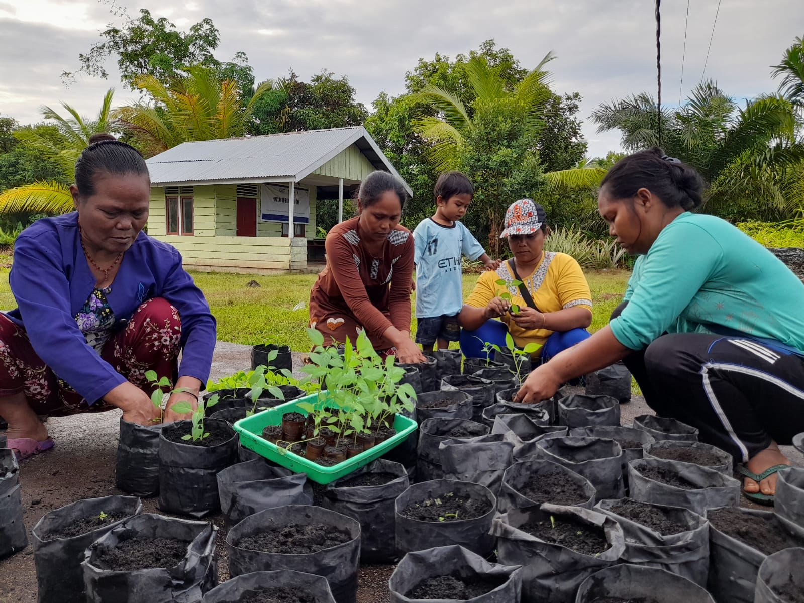 Warga Desa Sokop Manfaatkan Rumah Bibit untuk Tingkatkan Kesejahteraan ...