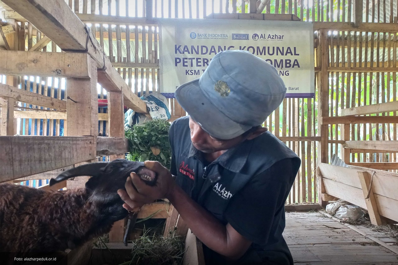 Tips Menjaga Kesehatan Hewan Ternak Sampai Proses Penyembelihan!